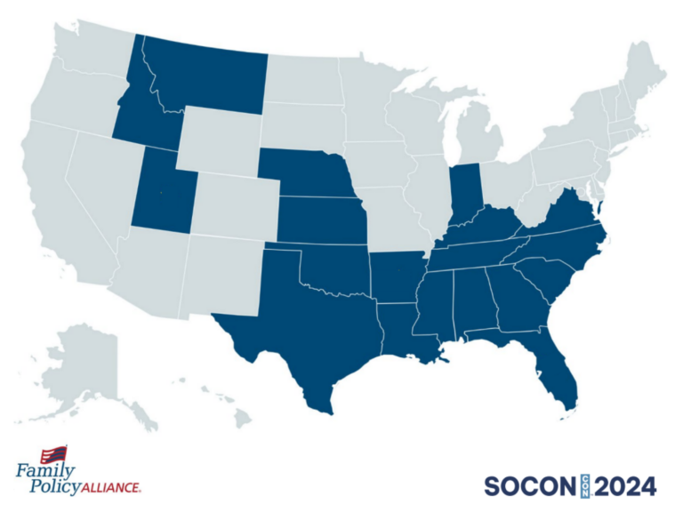 Pornography Age Verification Laws: What They Are and Which States Have ...